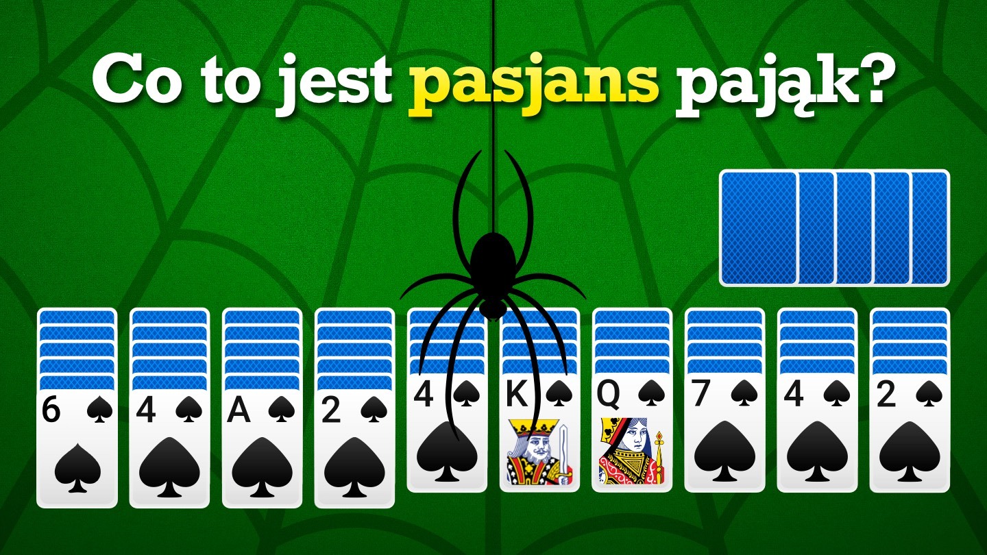 Co to jest pasjans pająk i dlaczego tak się nazywa?